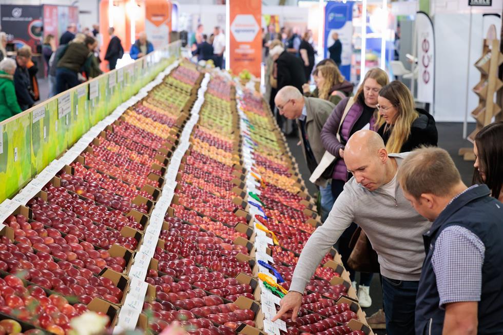 Jazz apples triumph once again at National Fruit Show | News | Fruitnet